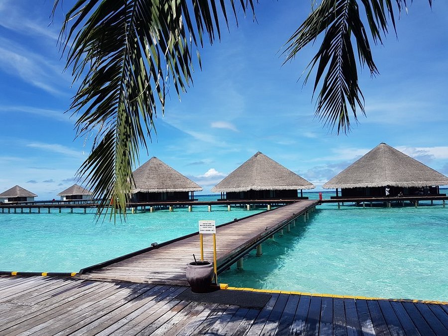 Customized Holiday Packages | Indian & International Destinations